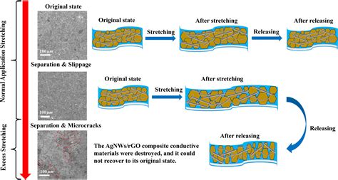 High Performance Wearable Flexible Strain Sensors Based On An Agnws Rgo