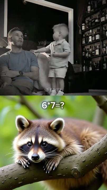 Shorts Trending Youtube