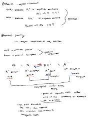 Acids And Bases Pdf Course Hero