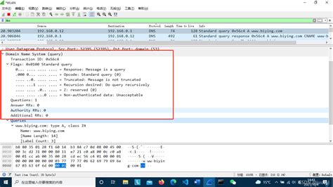 wireshark 抓包实验 wireshark查询响应报文中answers中内容详解 csdn博客
