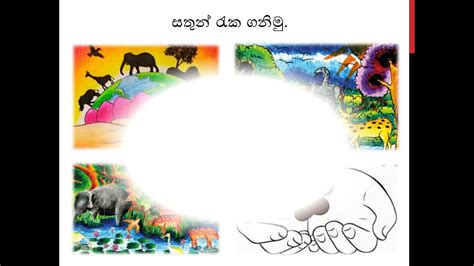 3 ශ්‍රේණිය අප අවට සතුන් 3 කොටස Youtube