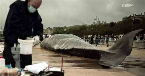 지구촌 포토 모형 향유고래가 주는 메시지