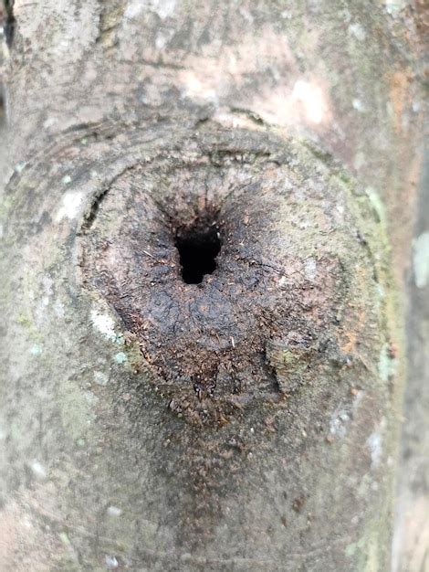 Premium Photo Abstrack Texture Background