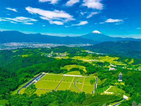 湘南森林霊園開園のお知らせお知らせ湘南森林霊園