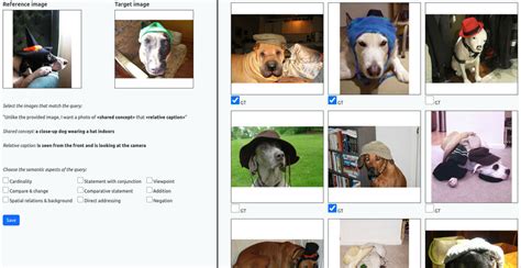 Screenshots Of The Annotation Tool User Interface A And B