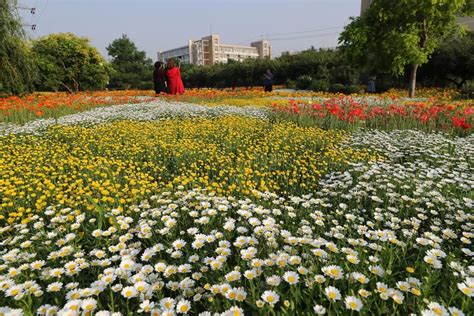 西安百花园 西安百花园小区 信阳百花园 第4页 大山谷图库