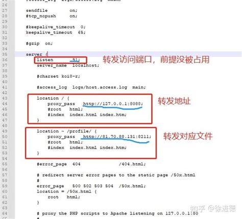 前端搭建本地nginx代理 知乎