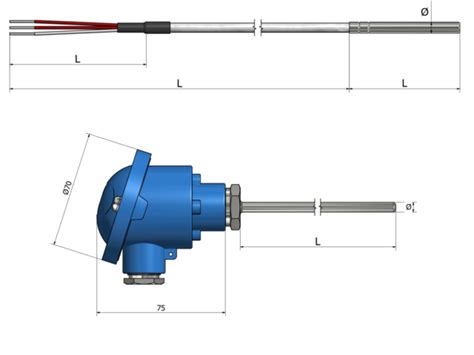 Pt100 Sonde De Température Rtd Pour Applications Industrielles T Sensors