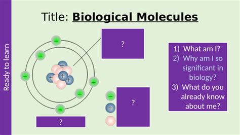 Monomers And Polymers Aqa Biological Molecules Intro A Level Biology Teaching Resources