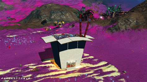 Void Egg Chow Mein R Nms Un42