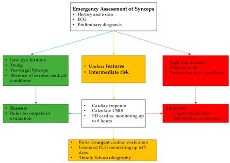 The Crucial Role Of Early Diagnosis In Syncope Management Nid Bd Blog