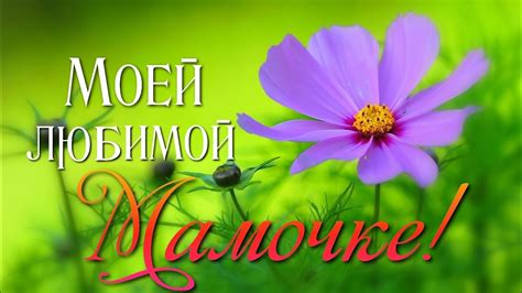 Моей любимой мамочке Видео открытка для Мамы с добрыми словами от всего сердца Youtube