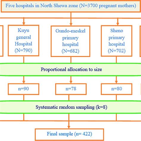 Schematic Presentation Of Sampling Procedure Download Scientific