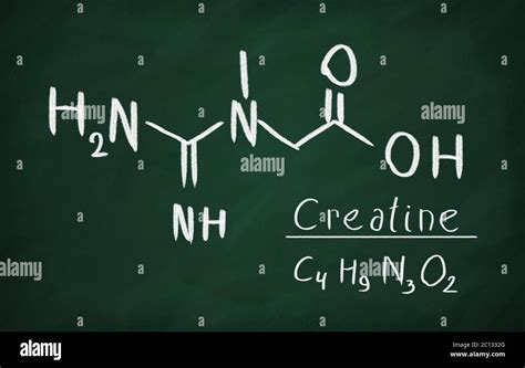 Structure Of Creatine At Daryl Hudson Blog