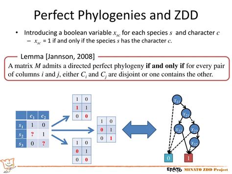 Ppt Efficient Enumeration Of The Directed Binary Perfect Phylogenies