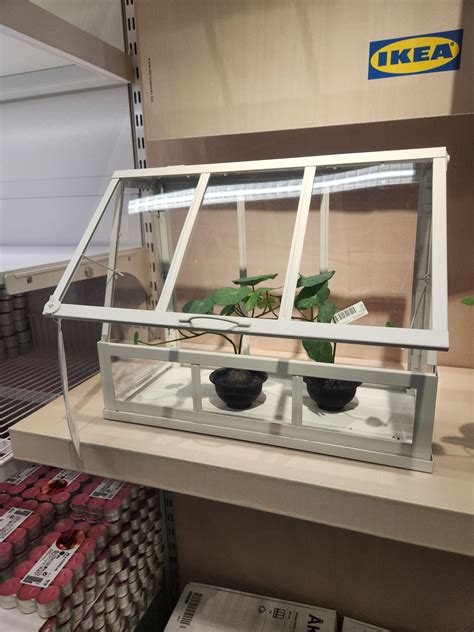 New Ikea Akerbar Greenhouse Rhouseplants