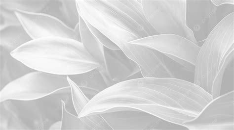 자연의 뒤틀린 녹색을 절묘하게 닫아 배경과 배경 화면에 매혹적인 질감을 남깁니다 숲의 질감 잎 질감 식물 질감 Png