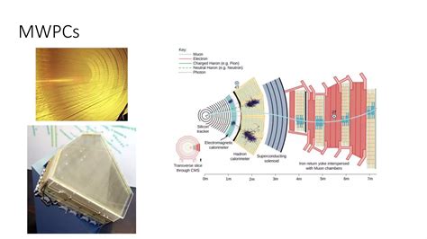 Radiationparticle Detectors Pptx