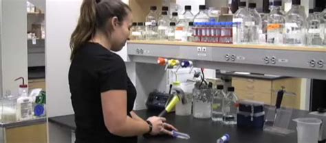 Polypropylene Vs Polystyrene