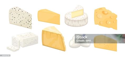 치즈 구색 단단하고 부드러운 소와 양 치즈 삼각형 조각 흰색 배너 배경에 벡터 일러스트 레이 션 모차렐라에 대한 스톡 벡터 아트