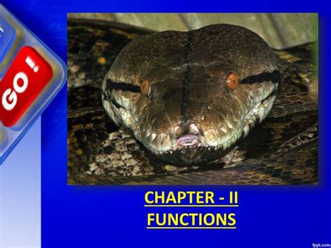 Chapter 02 Functions Class Xii Pptx