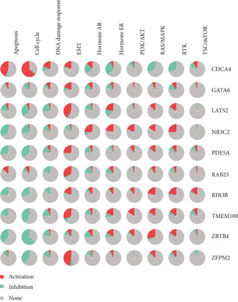 Pathway Activity Analysis Of The Hub Genes A Global Percentage Of