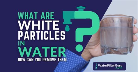 What Causes White Particles In Water And How Do I Remove Them