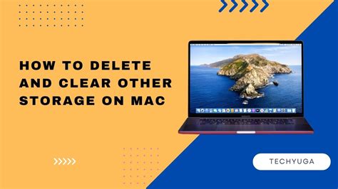 How To Delete And Clear Other Storage On Mac Techyuga