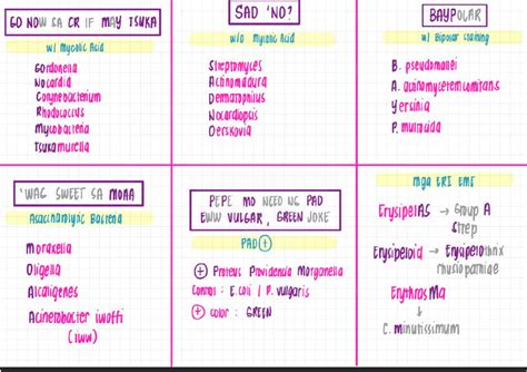 Mnemonics Onleeee BS In Medical Laboratory Science Studocu