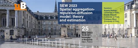 Spatial Aggregation Repulsion Diffusion Model Theory And Estimation
