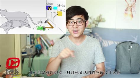 量子故事会（15）薛定谔的猫，一个被你误解了的思想实验 Youtube