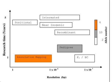 Schematic Comparison Of Various Methods For Identifying Nucleotide Download Scientific Diagram