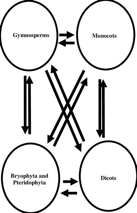 Graphical Representation Showing The Computational Identification Of Download Scientific