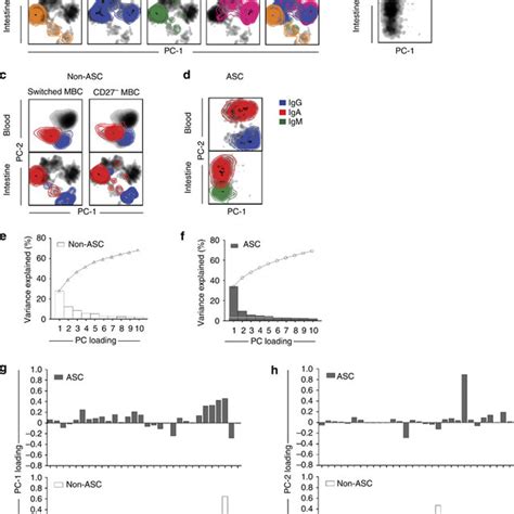 Dimensionality Reduction By PCA Reveals Phenotypic Relationships Among Download Scientific