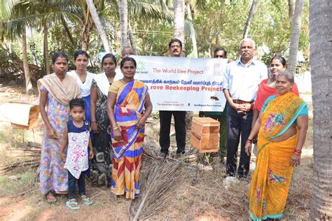 Gallery Examples World Bee Project