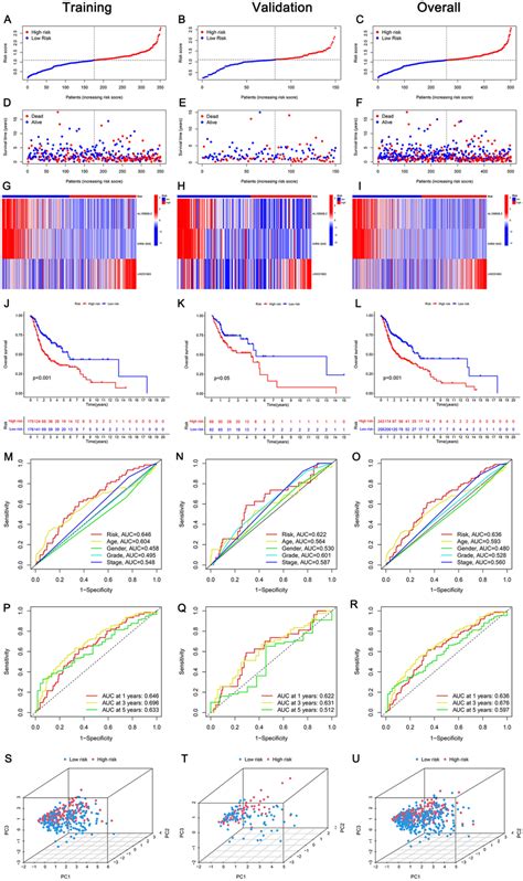 Construction And Validation Of The Cuproptosis Related Lncrna Signature