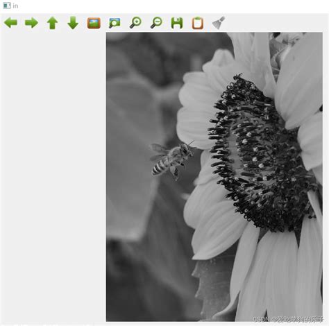 Python学习笔记2——opencv以及matplotlib图像处理opencv Matplotlib Csdn博客