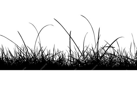 Grass Black And White