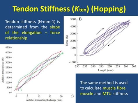 Lower Extremity Stiffness Lecture