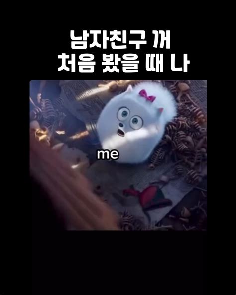 썸띠드ㅣ밀려오는 설렘의 순간 미국 어학연수 갔을 때 처음으로 미국 남자랑 썸 타고 있었거든 그날은 날씨도 너무 좋고 둘이 공원 가서 나란히 앉아 책 읽고 있었는데