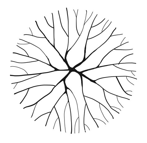 Tree Plan With Tree Block Of Auto Cad Dwg File Artofit