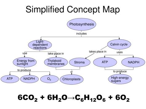 Ppt Simplified Concept Map Powerpoint Presentation Free Download