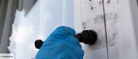 Le Meurtre Inavouable De Sylvain Dromard S23e4 Faites Entrer L