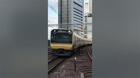 総武線色e235系 ウソ電 Youtube