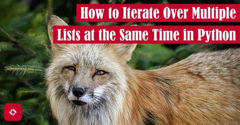 How To Iterate Over Multiple Lists At The Same Time In Python Zip