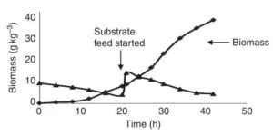 Fed Batch Culture Definition Principle Process Types Applications