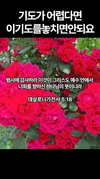 하나님께 맡겼지만 여전히 불안한분 이기도를 꼭 드려보세요 │하루를바꾸는기도 │ 감사찬양│ 감사기도│ 하루를 여는 기도 │은혜기도 │감사기도 │감사하는 기도│아침을 시작하는