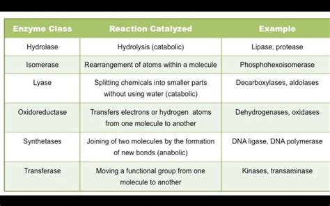 Ec Number Classification Of Enzyme Aldolase Phosphogluco Isomerase Phospho Fructo