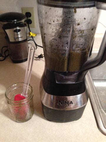 DIY Instant Kelp Meal Tea Coots Hydrated Kelp Meal Trick 420SativaLeaf