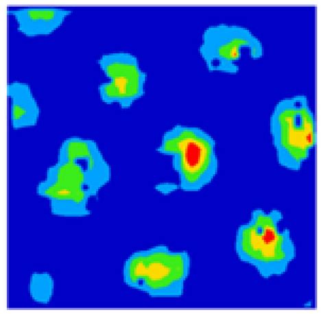 Information Free Full Text Towards A Predictive Bio Inspired